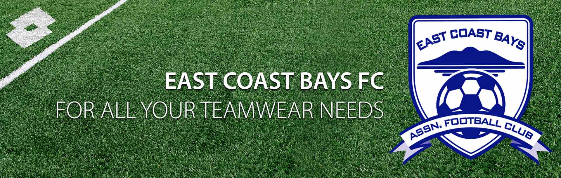 East Coast Bays vs Auckland City, New Zealand Northern Premier League ...