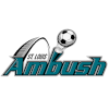 Peoria City vs Saint-Louis Ambush, USA USL League Two | Best Betting Odds.