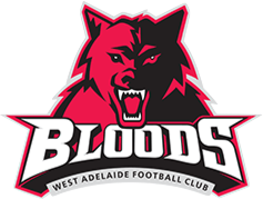 West Adelaide (R) (W) vs Salisbury Inter (R) (W), Australia South ...
